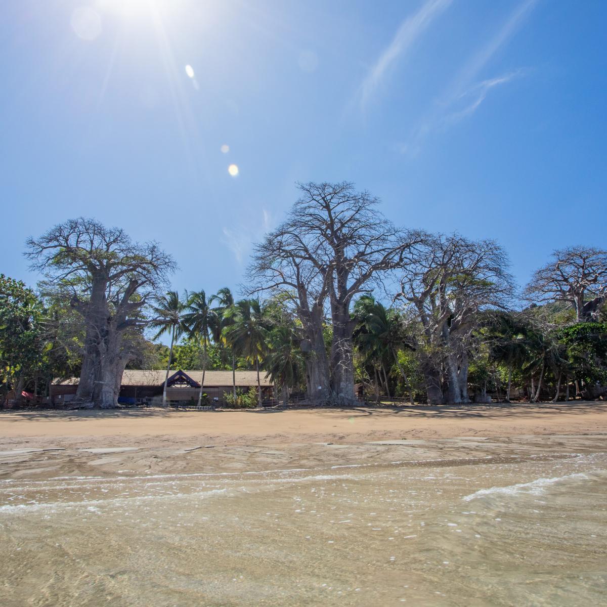 12 meilleures plages de Mayotte | Mayotte tourisme