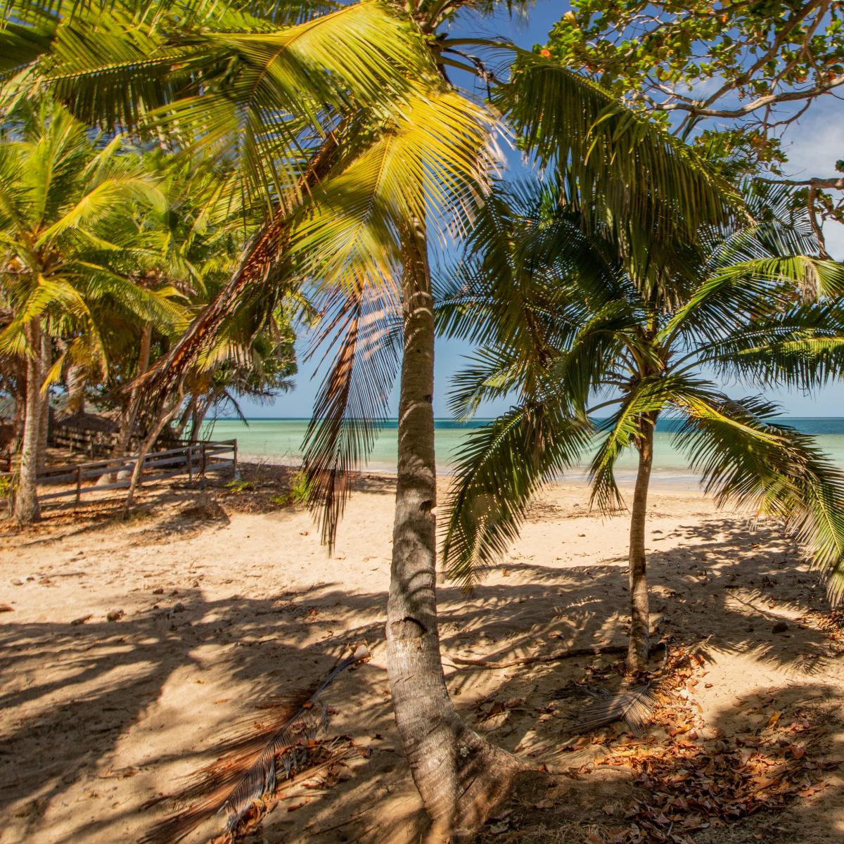 12 meilleures plages de Mayotte | Mayotte tourisme
