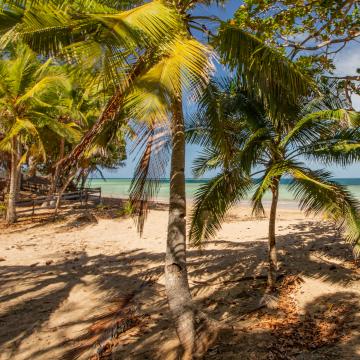 12 meilleures plages de Mayotte | Mayotte tourisme
