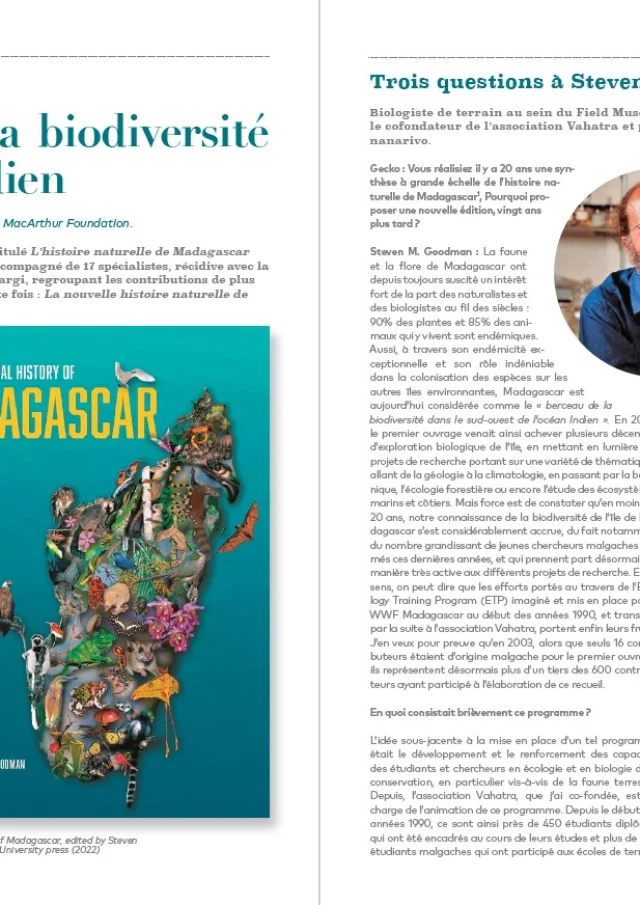 Gecko magazine | Mayotte tourisme